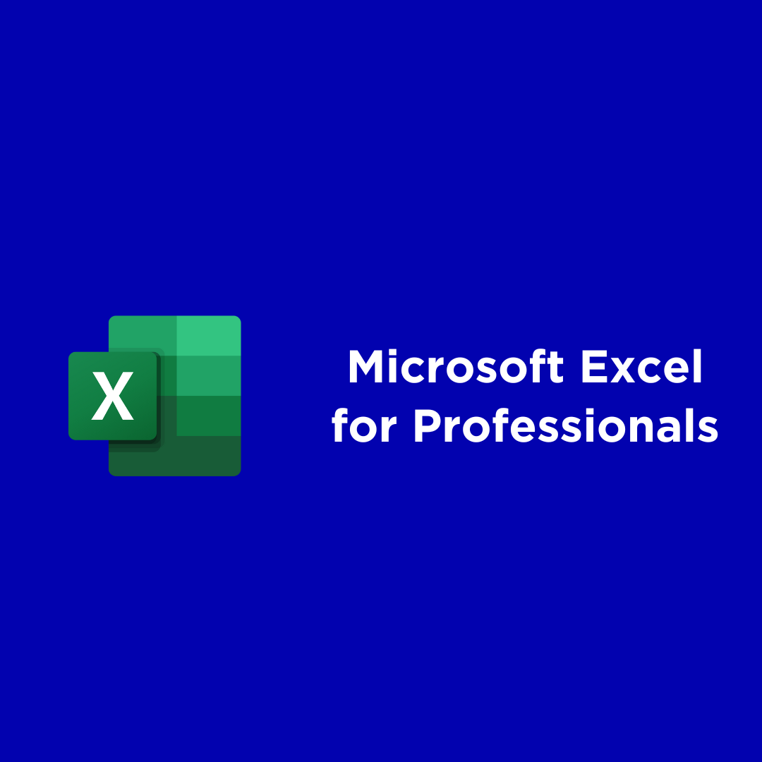 Microsoft Excel for Professionals - Part two | Digital Skills Hub